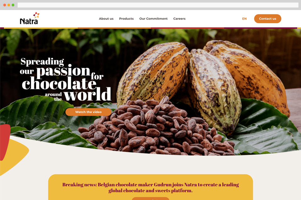 Natra, nueva web corporativa - Ensegna Design Technology